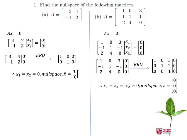Tutorial 5 mth 3201 | PDF