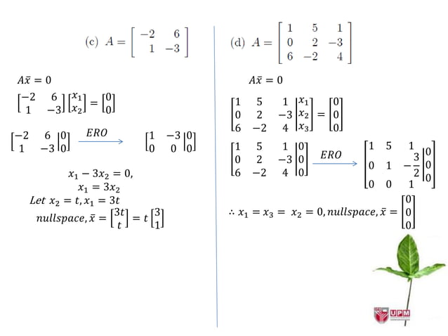 Tutorial 5 mth 3201 | PDF