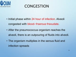 TUTORIAL 8 PNEUMONIA.pptx is discuss in detail about the pneumonia ...
