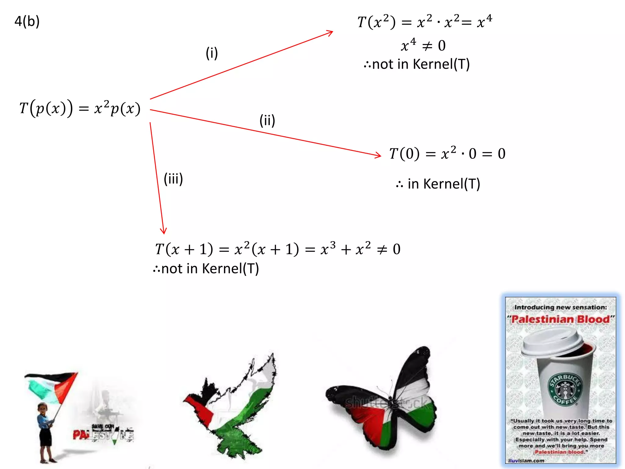Tutorial 9 mth 3201 | PDF