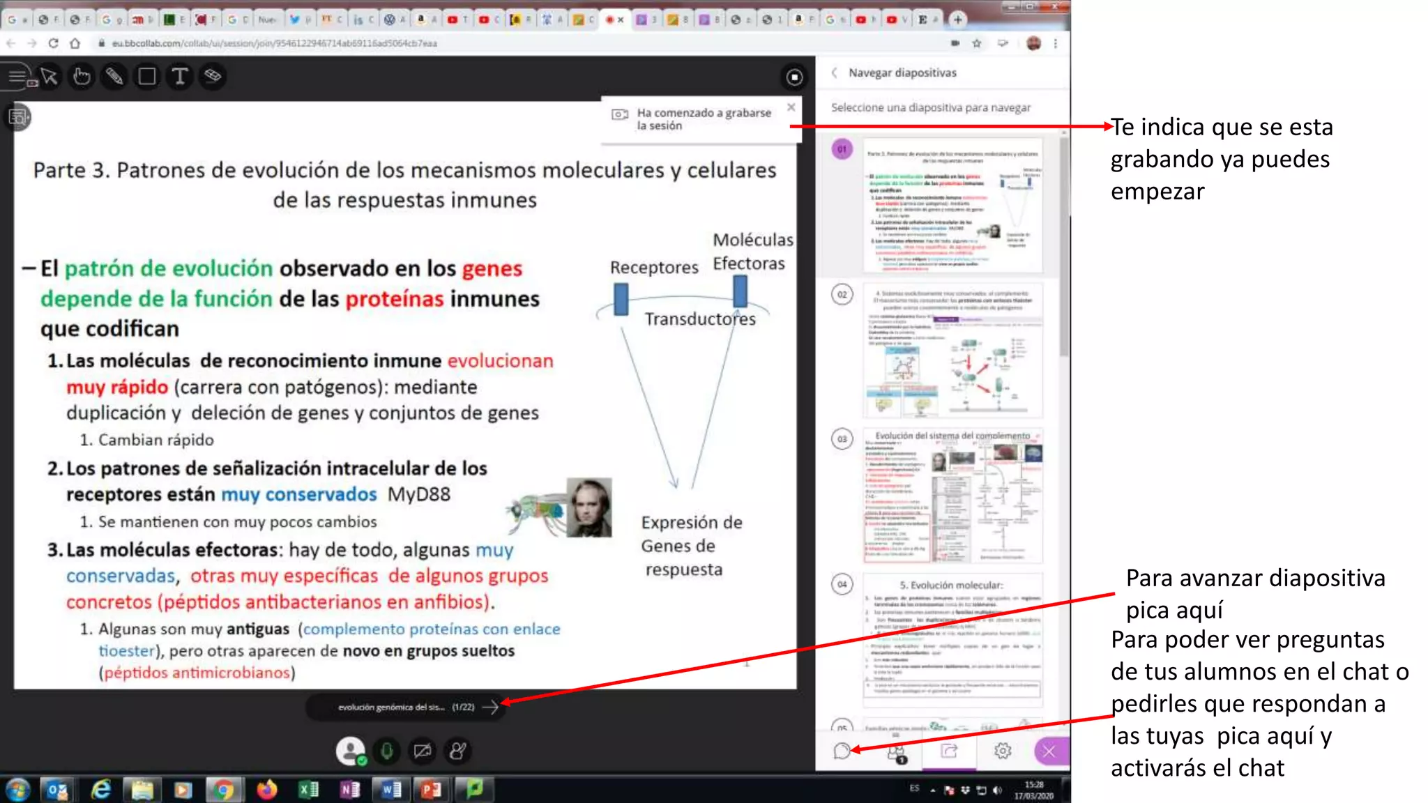 Tutorial blackboard collaborate ultra | PPTX