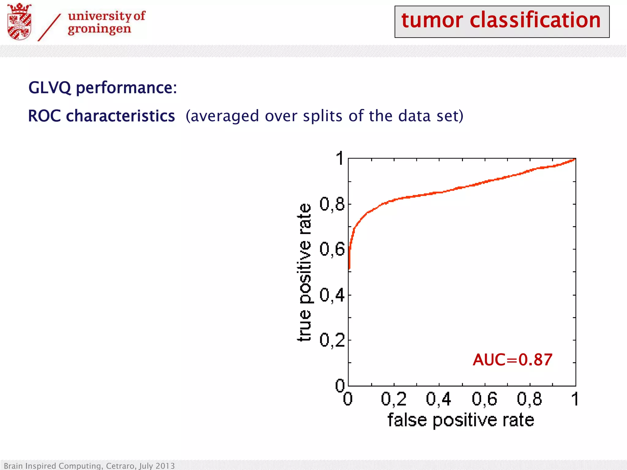 2013 Prototype Based Learning And Adaptive Distances For Classification Ppsx