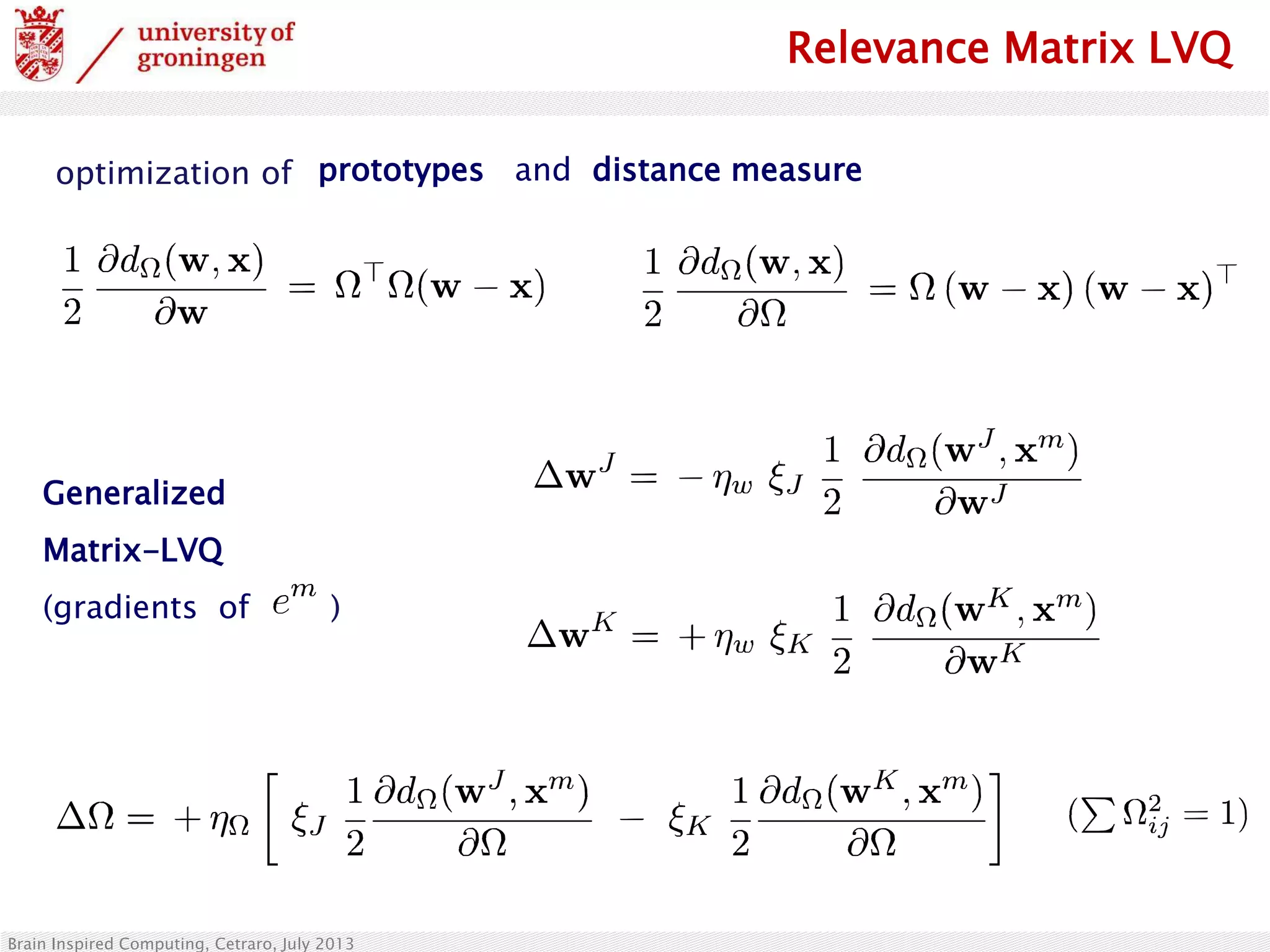 2013: Prototype-based learning and adaptive distances for classification | PPSX