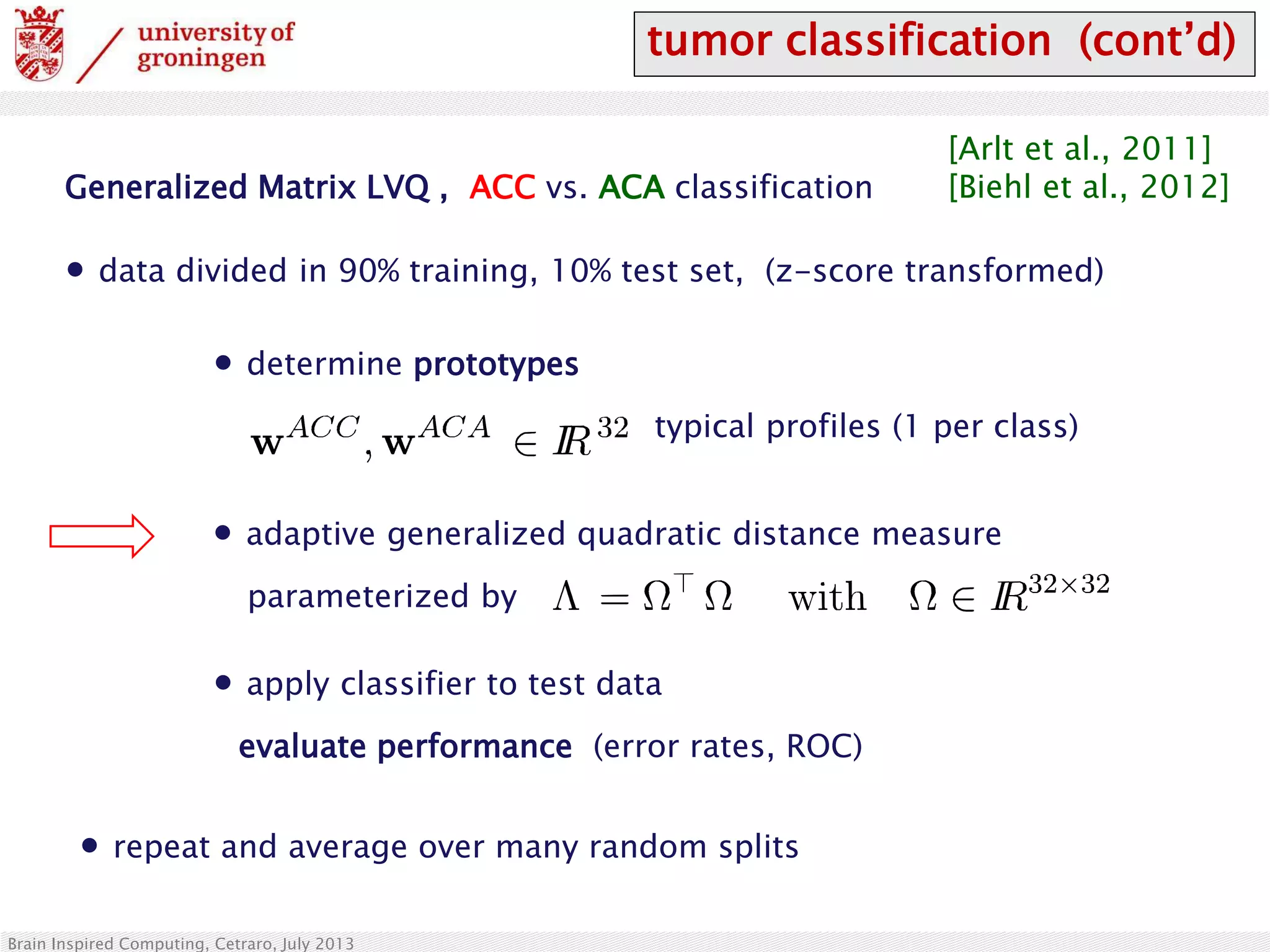 2013 Prototype Based Learning And Adaptive Distances For Classification Ppsx