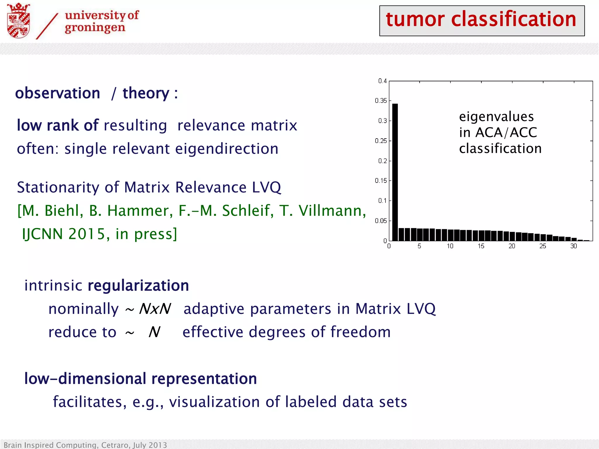 2013: Prototype-based learning and adaptive distances for classification | PPSX