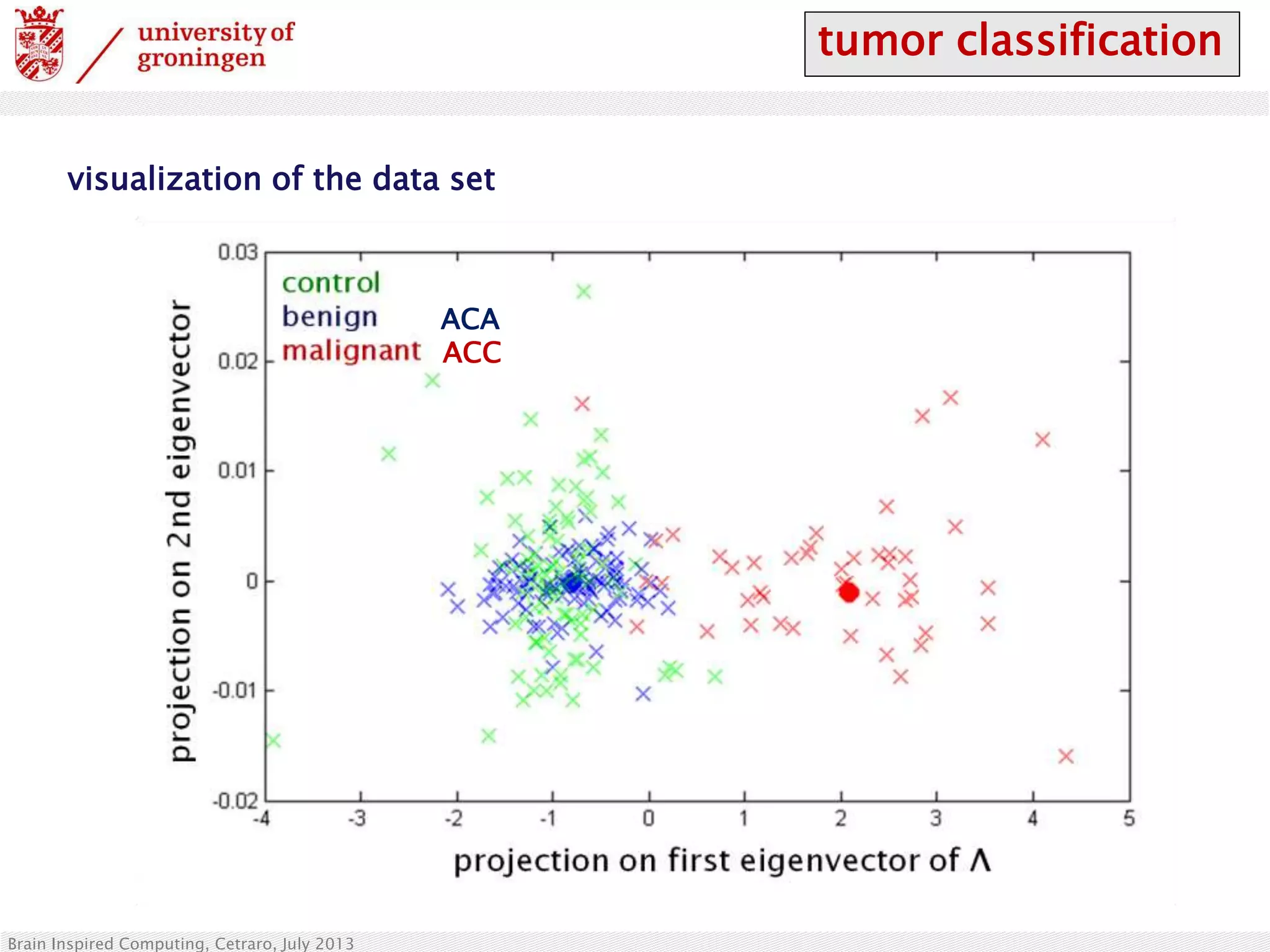 2013: Prototype-based learning and adaptive distances for classification | PPSX