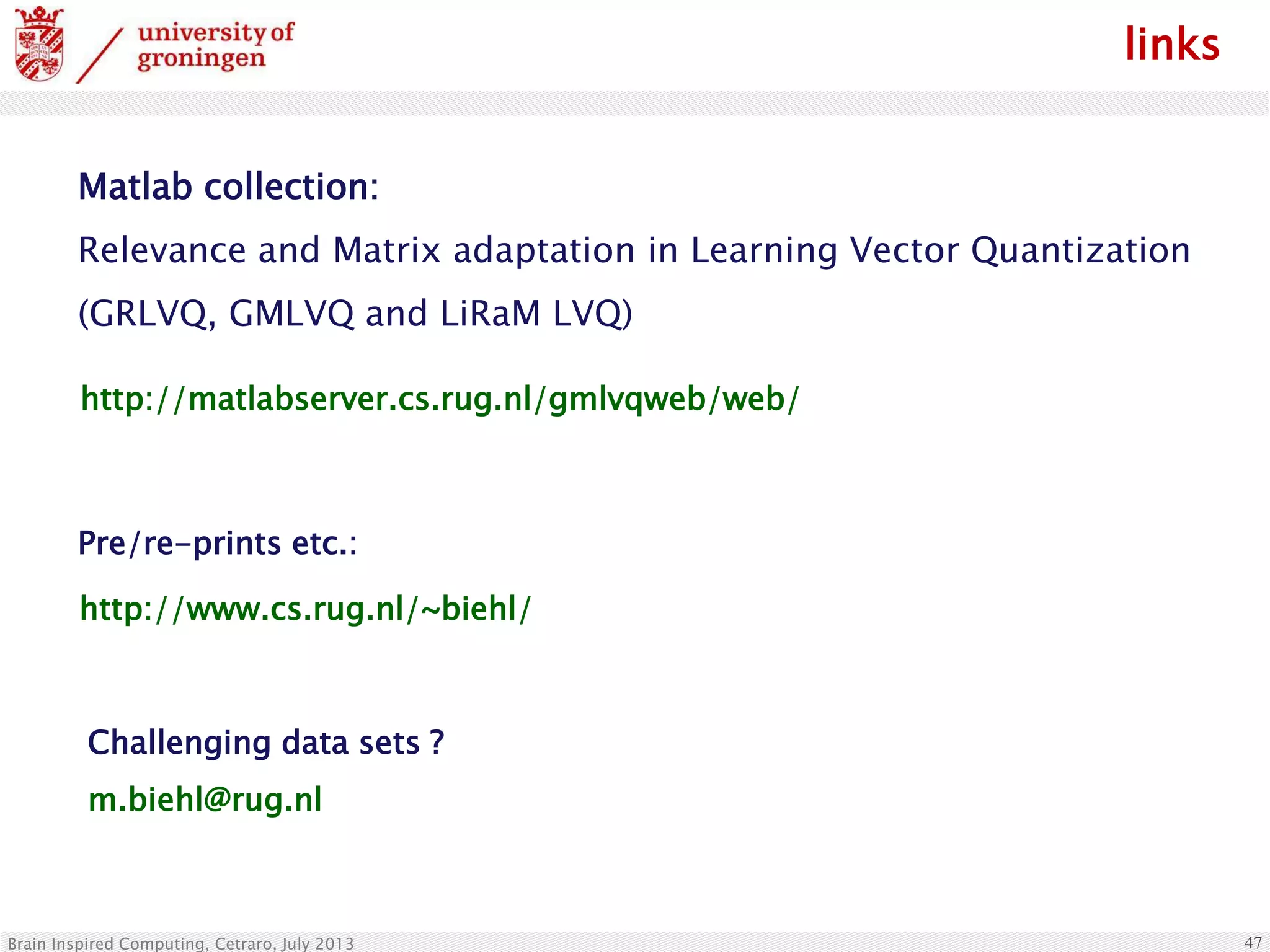 2013 Prototype Based Learning And Adaptive Distances For Classification Ppsx
