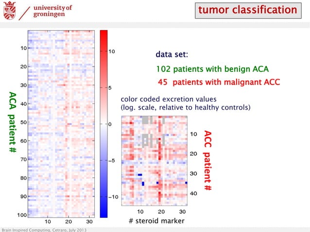 2013 Prototype Based Learning And Adaptive Distances For Classification Ppsx