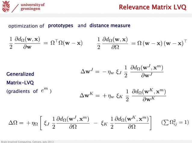 2013: Prototype-based learning and adaptive distances for classification | PPT