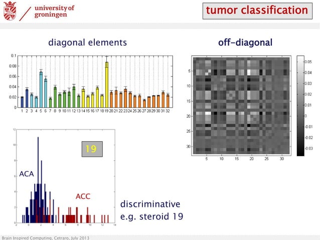 2013 Prototype Based Learning And Adaptive Distances For Classification Ppsx