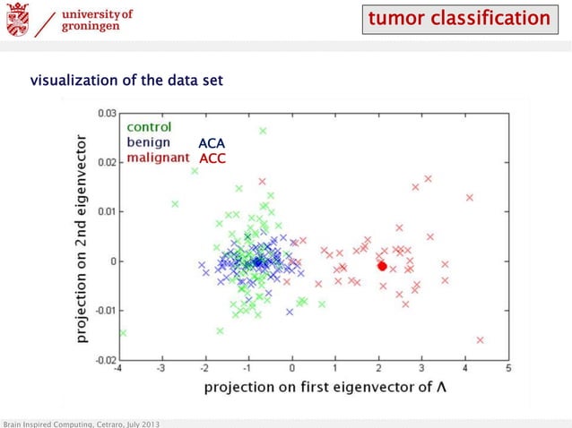 2013 Prototype Based Learning And Adaptive Distances For Classification Ppsx