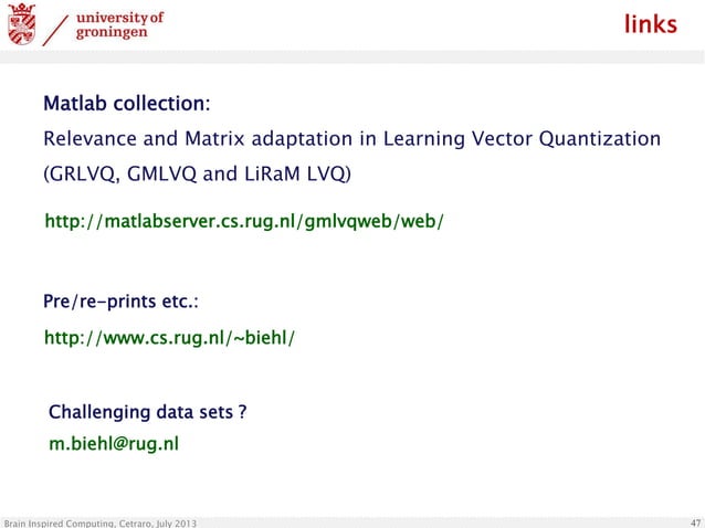2013: Prototype-based learning and adaptive distances for classification | PPSX