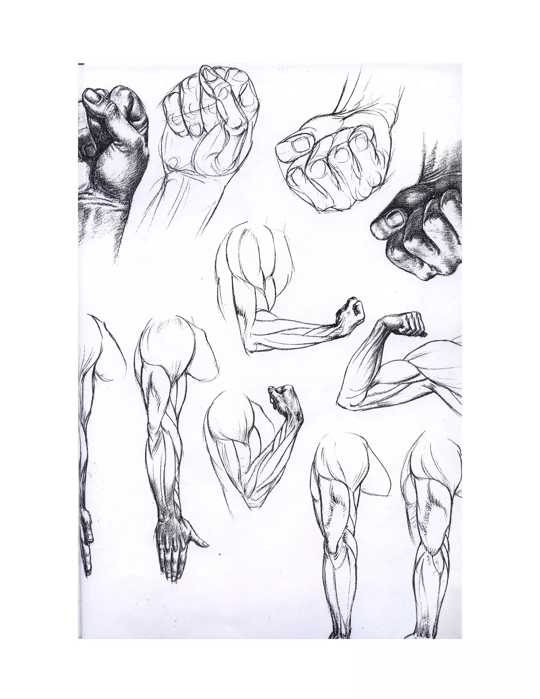Tutorial cara menggambar tangan | PDF