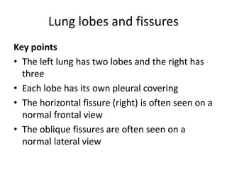 Chest X-Ray Anatomy. | PPTX