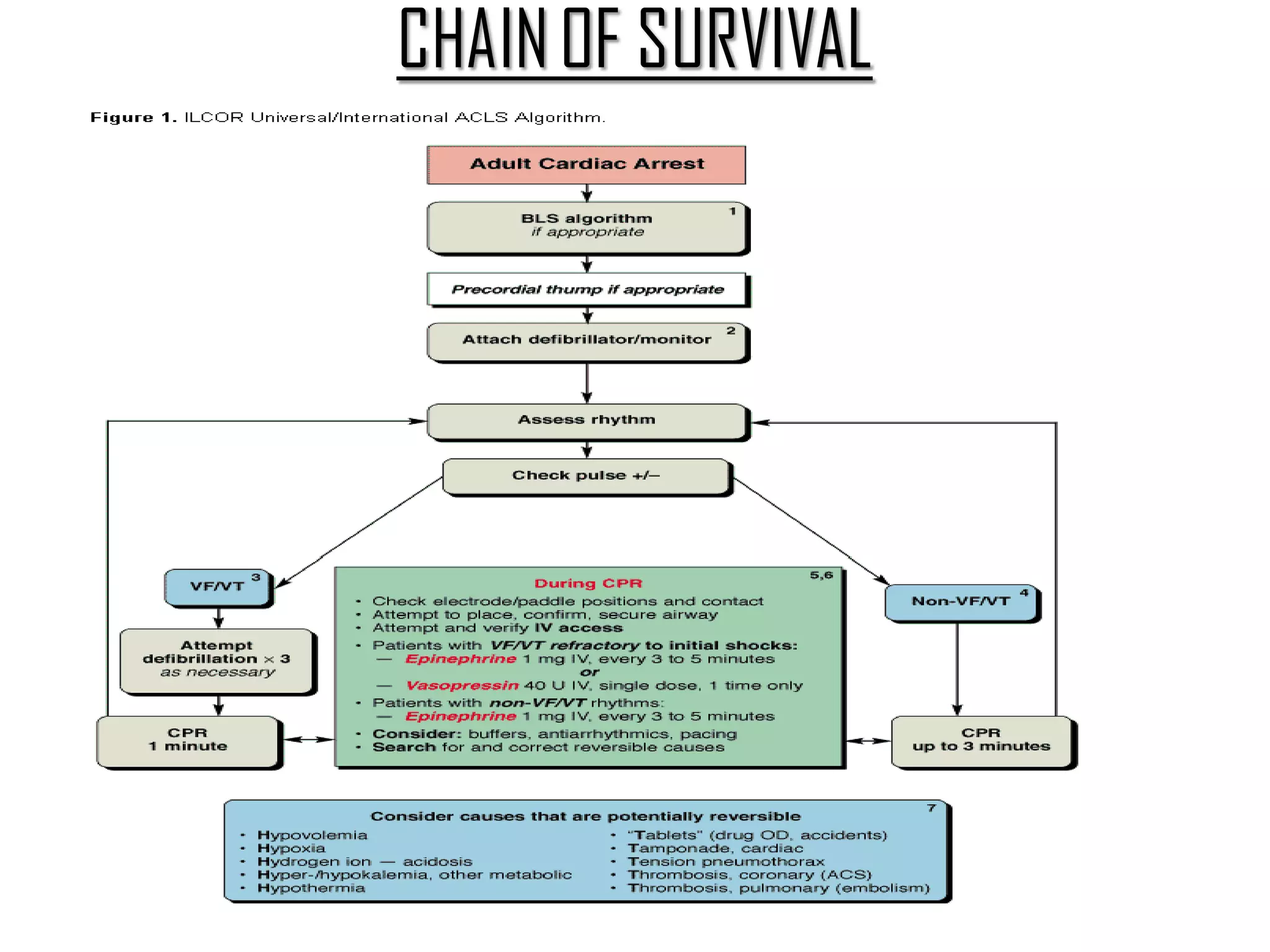 Cardio pulmonary resuscitation (CPR) | PDF