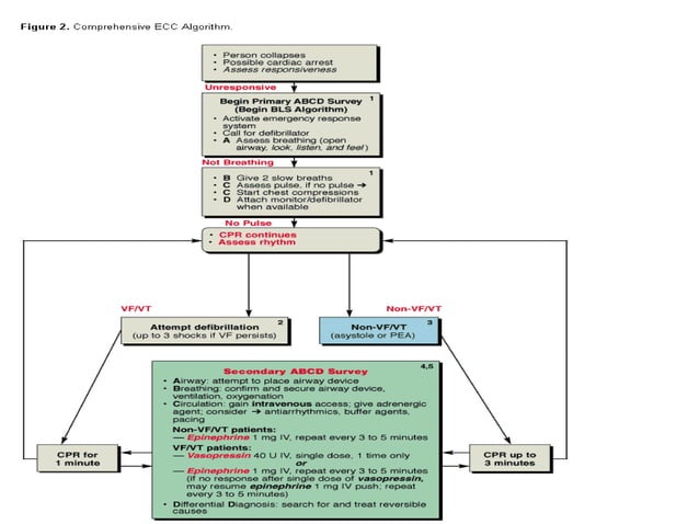 Cardio pulmonary resuscitation (CPR) | PDF