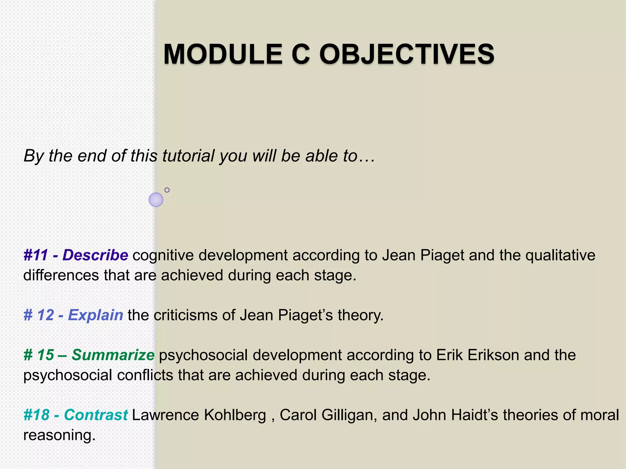 Developmental Theories Turtorial | PPTX