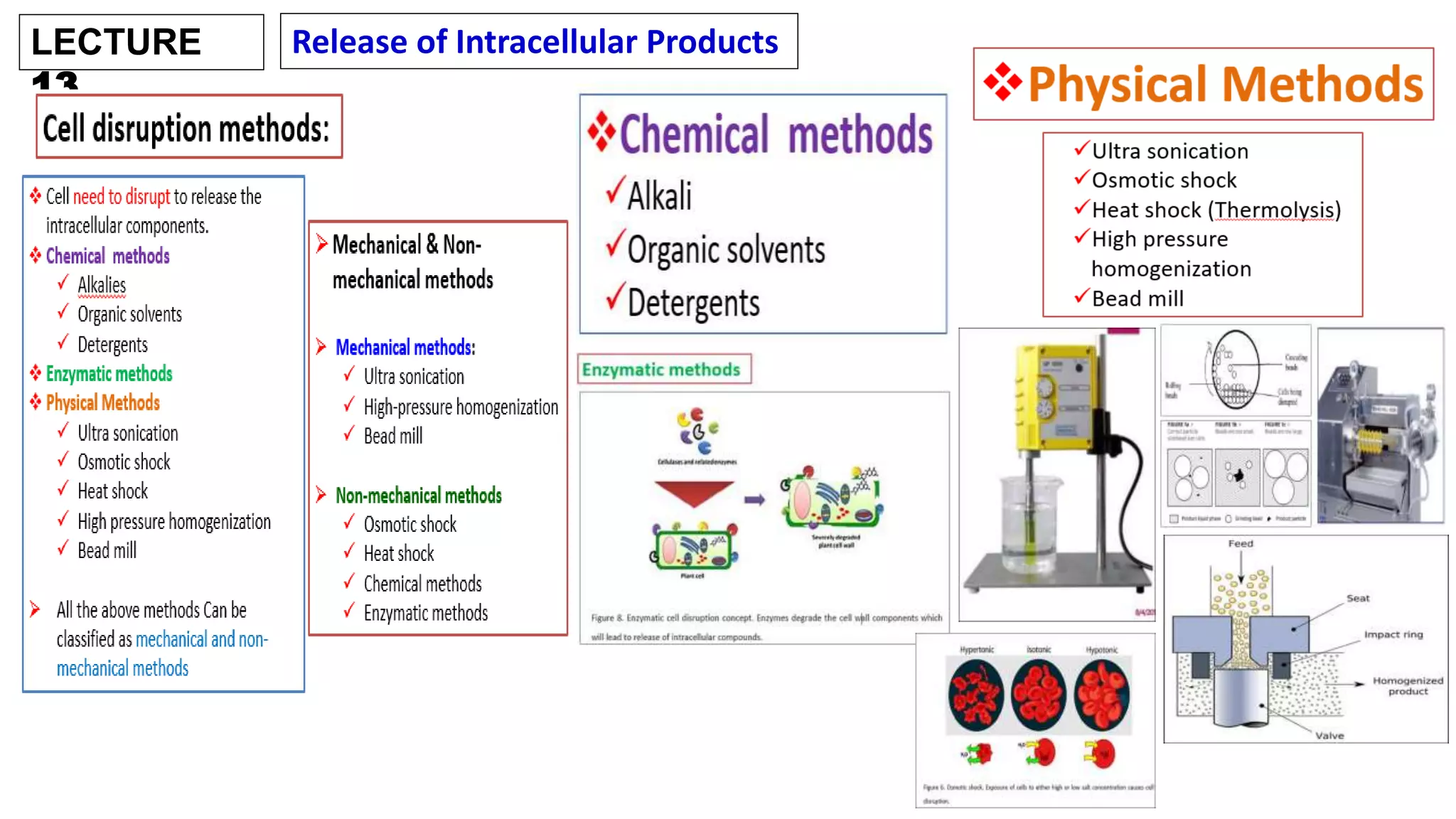 TUTORIAL_Downstream process.ppt | Chemistry | Science