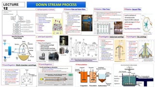 TUTORIAL_Downstream process.ppt | Chemistry | Science