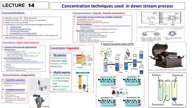 TUTORIAL_Downstream process.ppt | Chemistry | Science