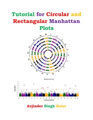 Tutorial for Circular and Rectangular Manhattan plots | PDF