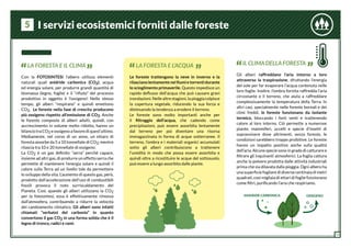 tutorial_FORESTE_tutorial_ foreste_tutorial | PDF