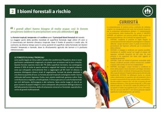 tutorial_FORESTE_tutorial_ foreste_tutorial | PDF