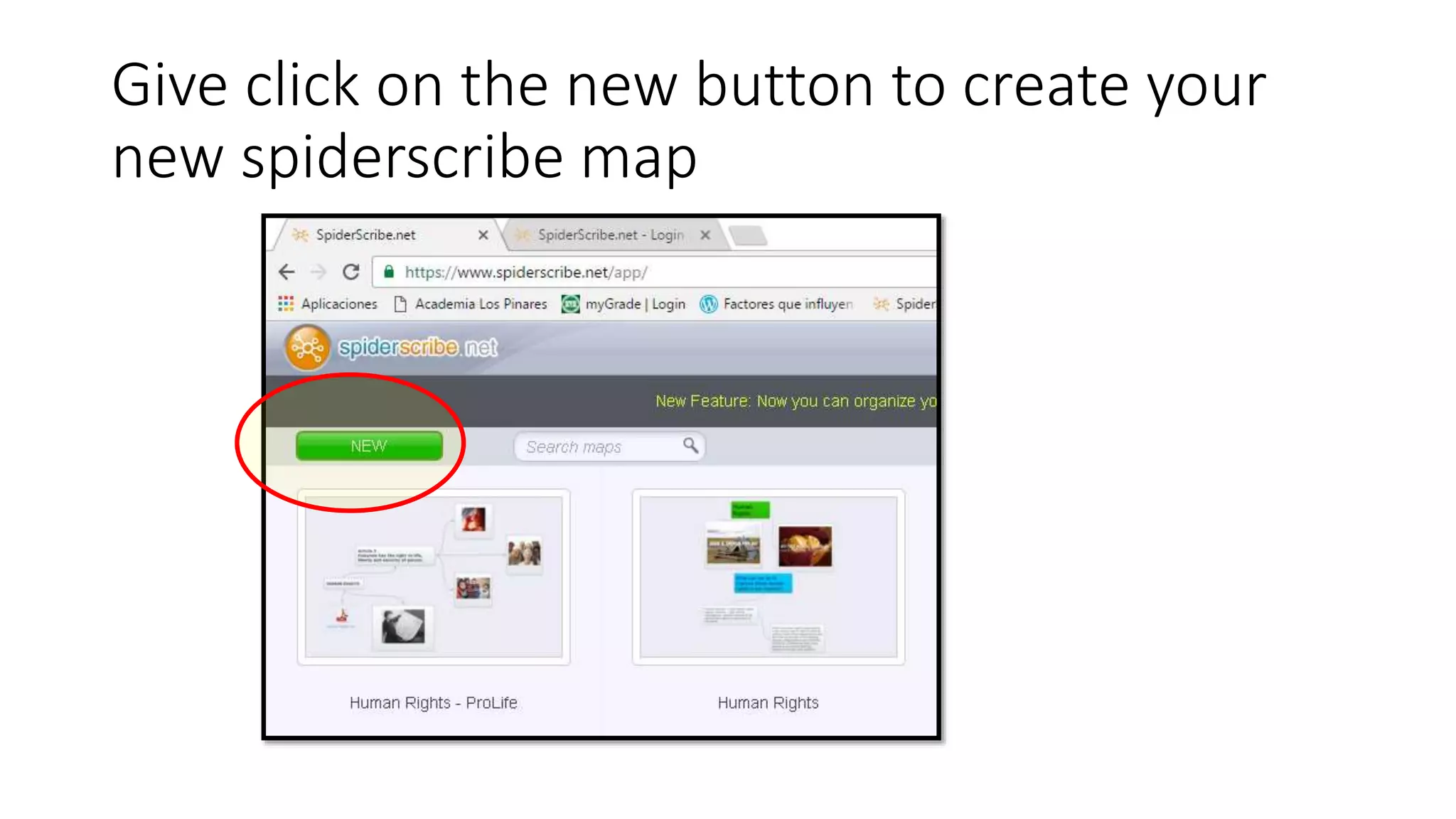 Tutorial for spider scribe | PPTX