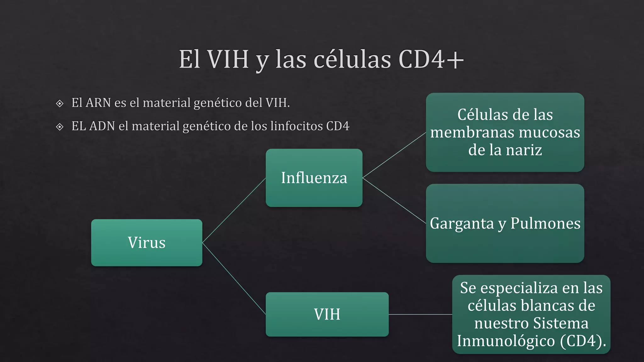 linfocitos cd4 y su importancia en el sida | PPT