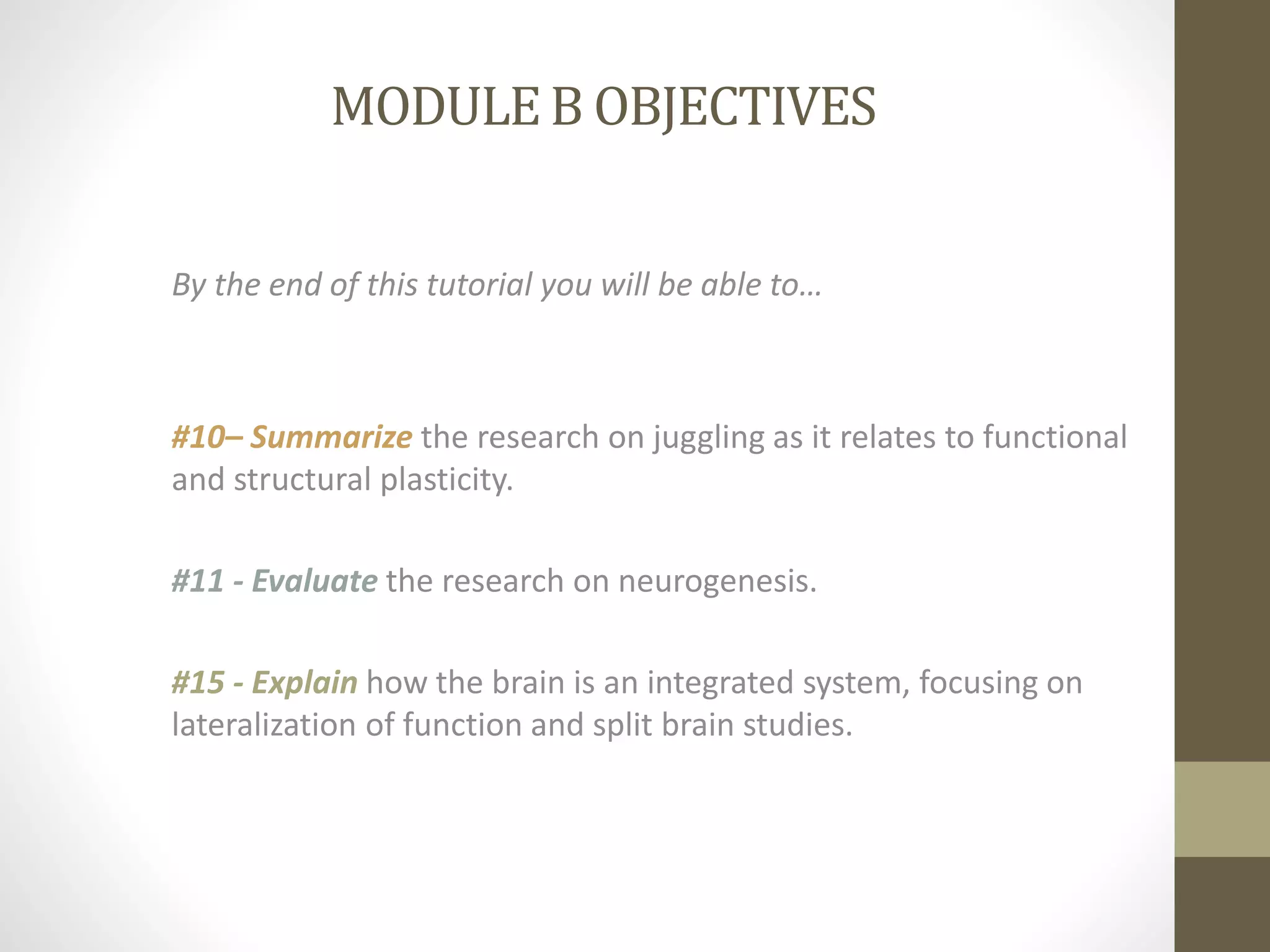 Integrated Brain Tutorial | PPTX