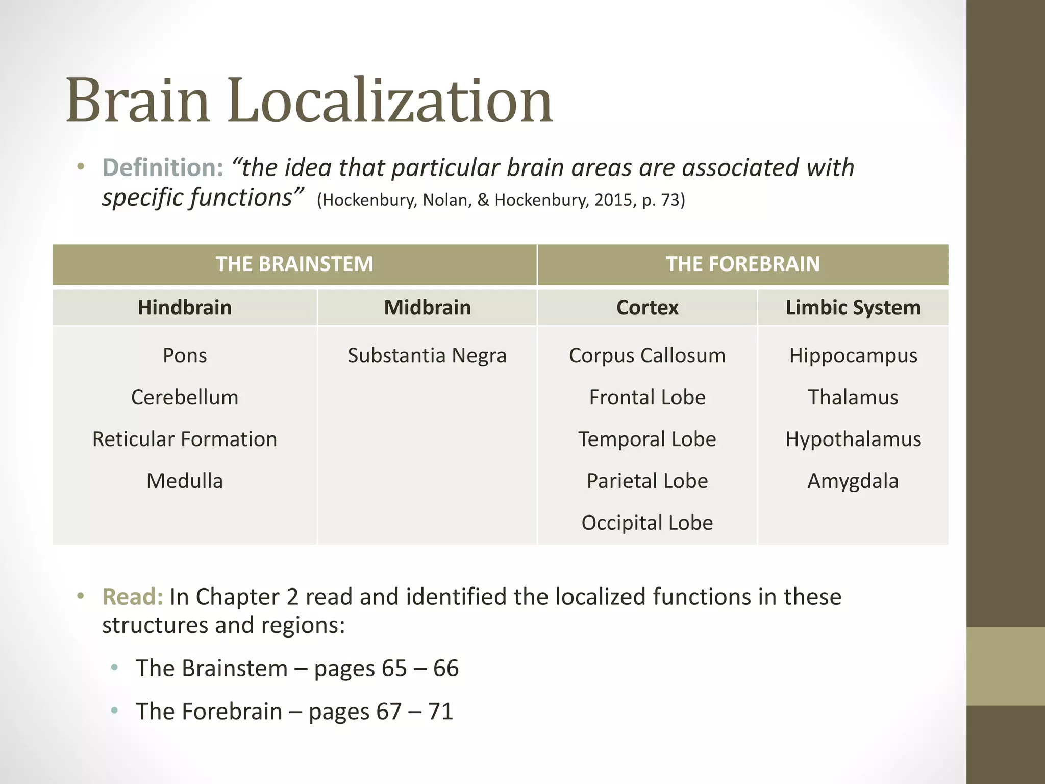 Integrated Brain Tutorial | PPTX | Brain and Nervous System Disorders ...