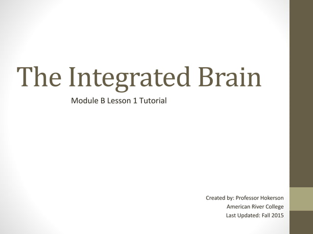 Integrated Brain Tutorial | PPT