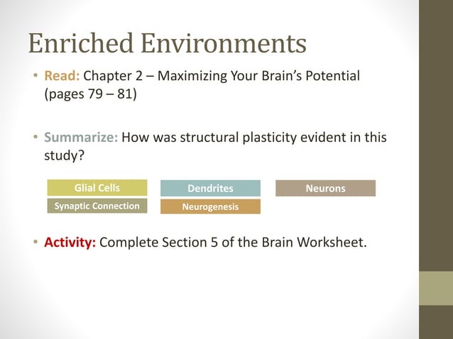 Integrated Brain Tutorial | PPT