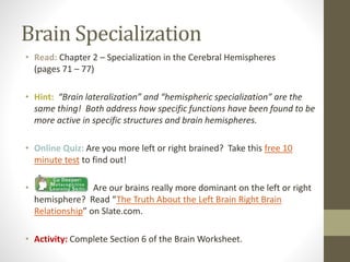 Integrated Brain Tutorial | PPTX