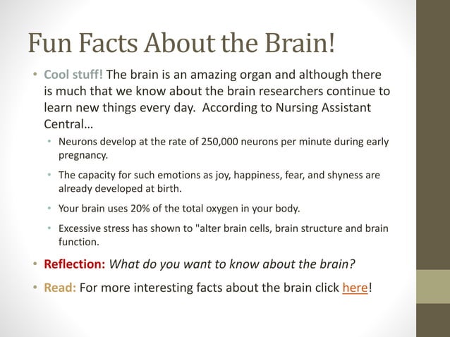 Integrated Brain Tutorial | PPT