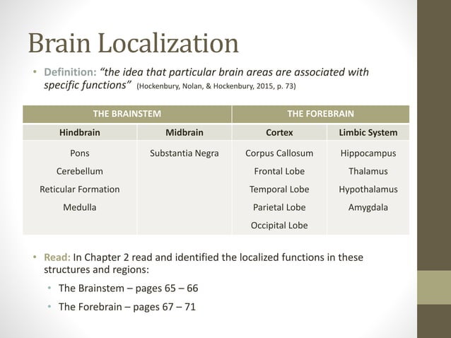 Integrated Brain Tutorial | PPT