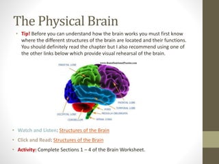 Integrated Brain Tutorial | PPTX
