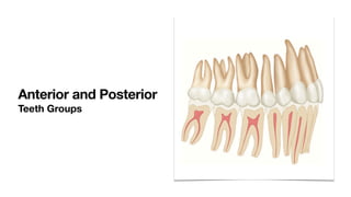 Tutorial, Lecture 1.pdf