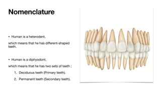 Tutorial, Lecture 1.pdf