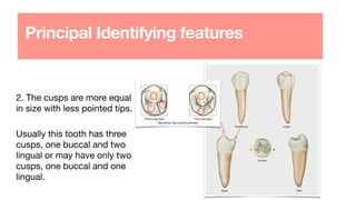 Tutorial, Lecture 10.pdf