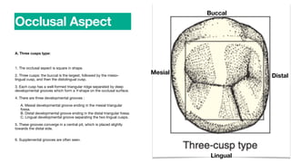Tutorial, Lecture 10.pdf