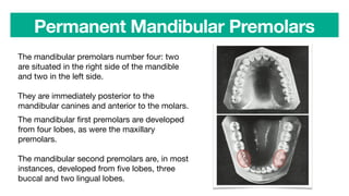 Tutorial, Lecture 10.pdf
