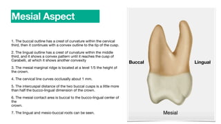 Tutorial, Lecture 11.pdf