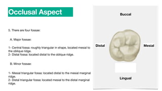 Tutorial, Lecture 11.pdf