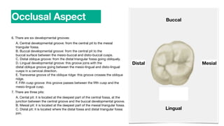 Tutorial, Lecture 11.pdf
