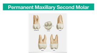 Tutorial, Lecture 12.pdf