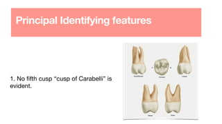 Tutorial, Lecture 12.pdf