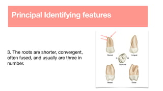 Tutorial, Lecture 12.pdf