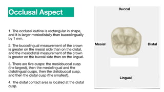 Tutorial, Lecture 13.pdf