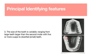 Tutorial, Lecture 14.pdf